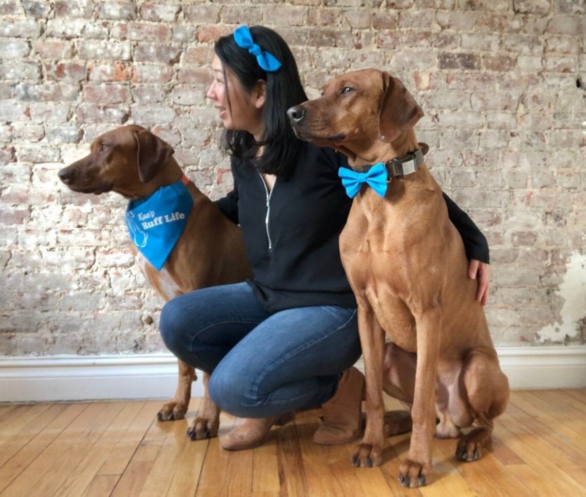 Family Matching Set, 3-4 Items, Matching Dog and Owner, Matching Dog ...