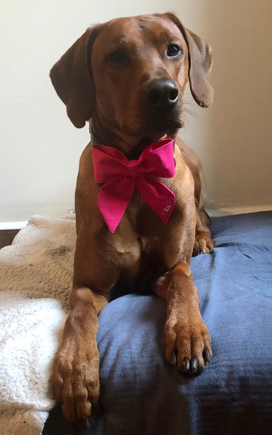 Personalized Dog Bows, Dog Bows, Sailor Bow for Dogs, Bows for Dogs ...