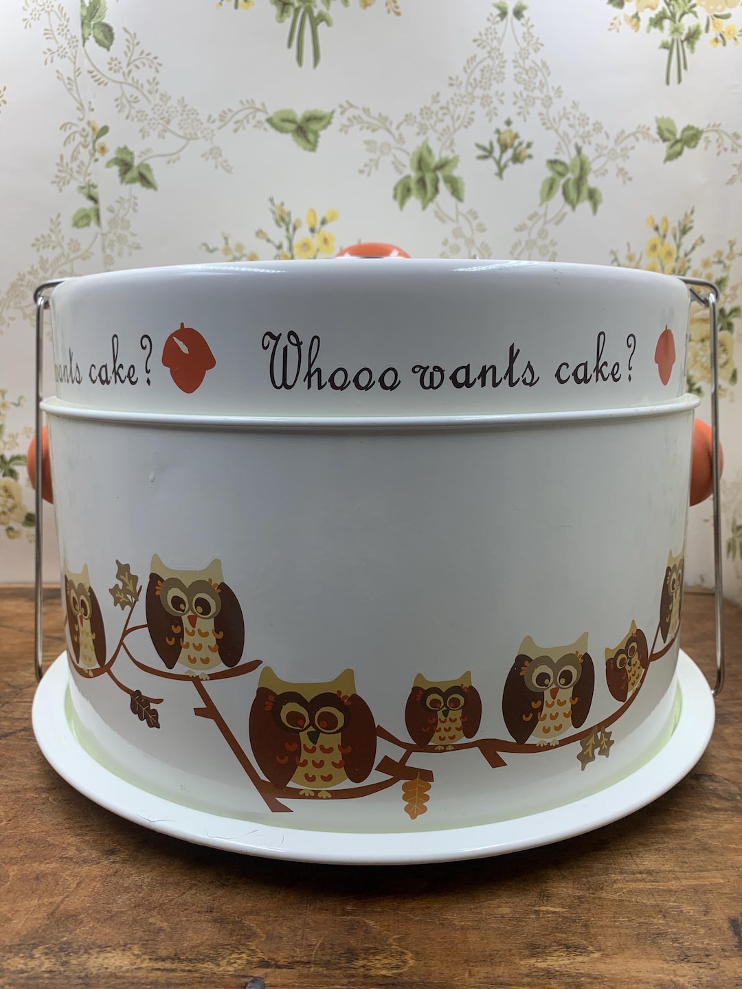 1970s Owl Whoo Wants Cake Pie and Cake Carrier With Handle Vintage ...
