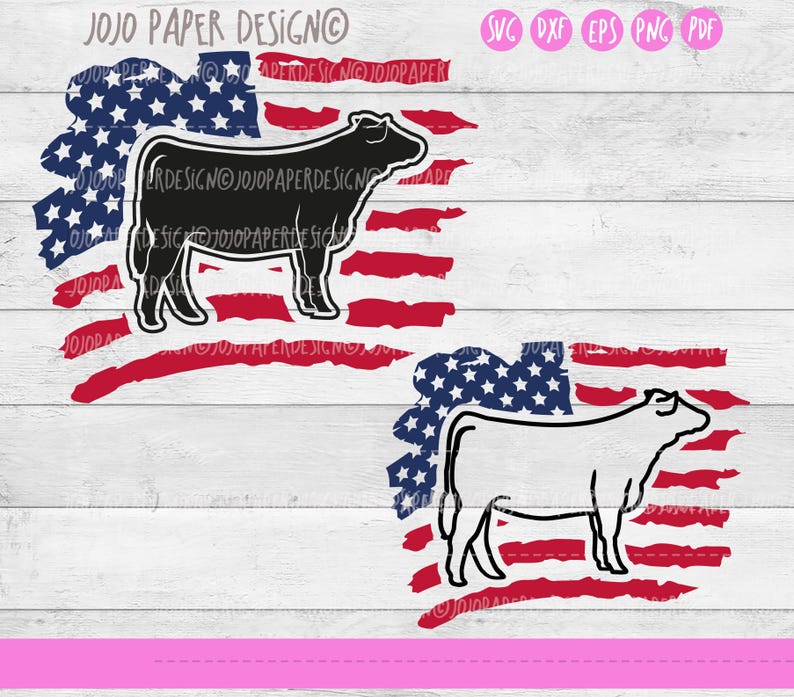 Show Heifer US Flag SVG, Show Cattle Svg, Show Heifer PNG Clipart, Beef ...