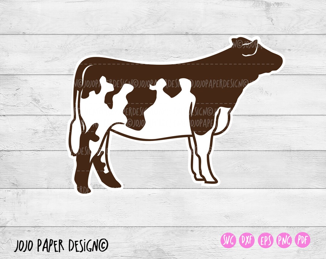 Show Heifer SVG, Shorthorn Heifer SVG, Show Heifer PNG Clipart, Beef ...