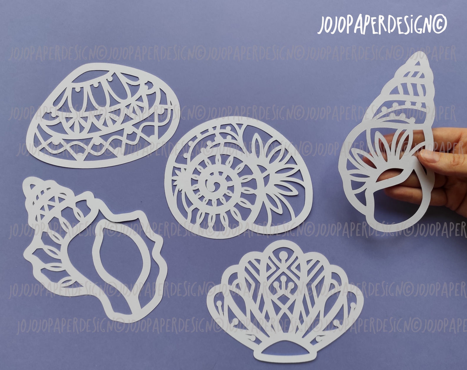 Seashell SVG, Mandala Sea Shell Svg for Cricut and Silhouette or Laser ...