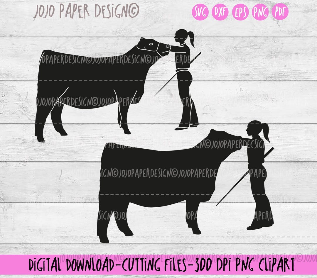 Show Heifer SVG, Show Cattle SVG, Show Steer Svg Png Eps Dxf Pdf, Beef ...