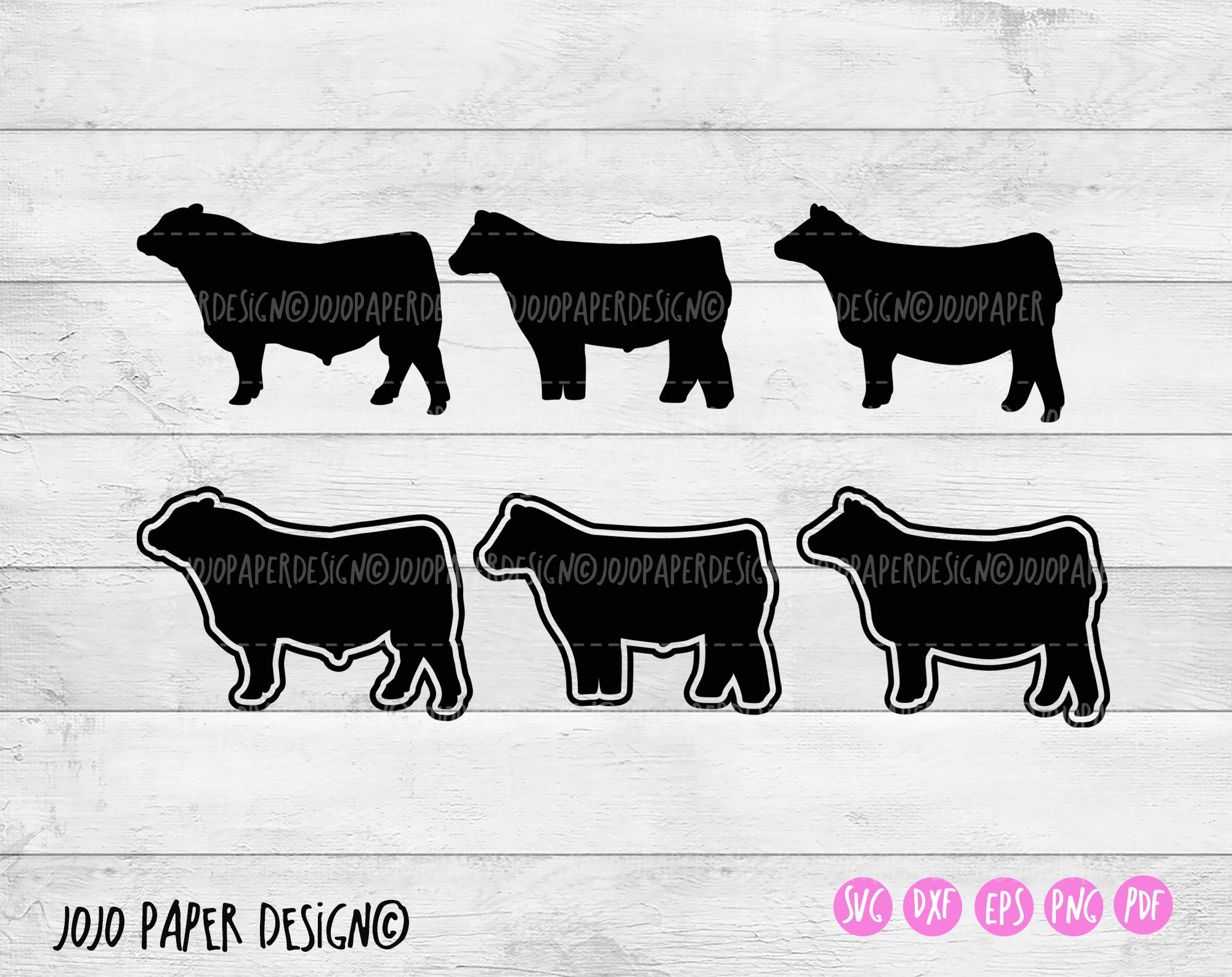 Show Heifer SVG var 2, Show Cattle SVG, Show Steer Svg Png Eps Dxf Pdf ...