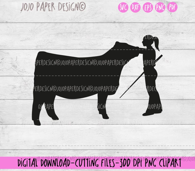 Show Heifer SVG, Show Cattle SVG, Show Steer Svg Png Eps Dxf Pdf, Beef ...