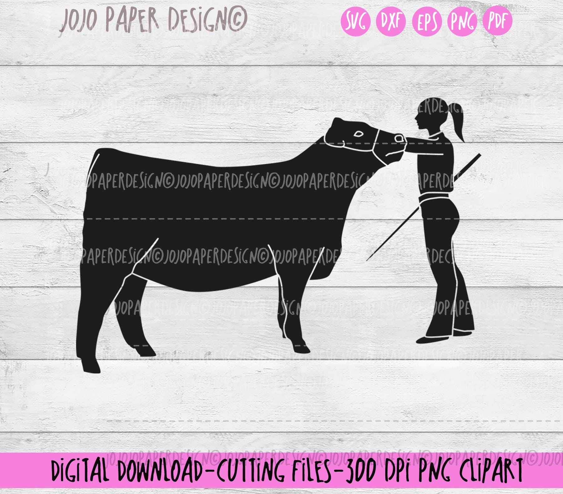 Show Heifer SVG, Show Cattle SVG, Show Steer Svg Png Eps Dxf Pdf, Beef ...