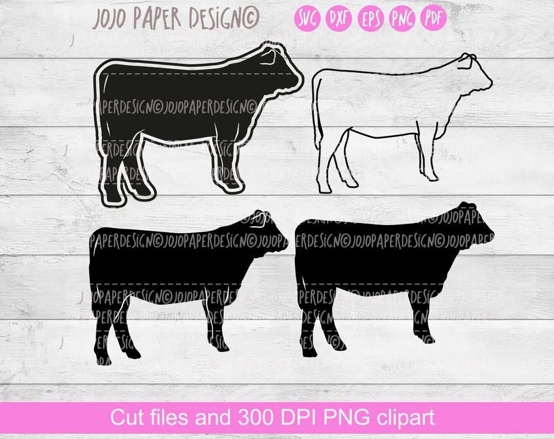 Show Heifer SVG, Show Cattle SVG, Show Heifer PNG Clipart, Beef Cattle ...