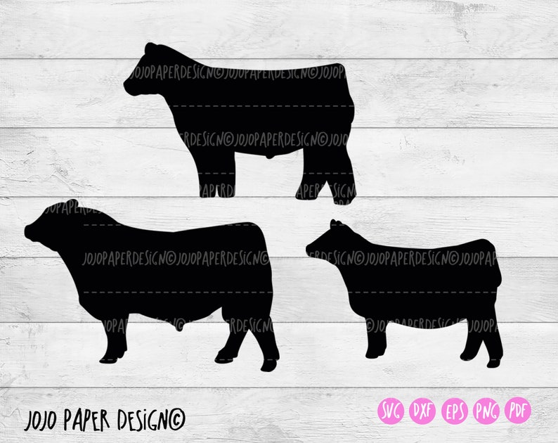 Show Heifer SVG var 2, Show Cattle SVG, Show Steer Svg Png Eps Dxf Pdf ...
