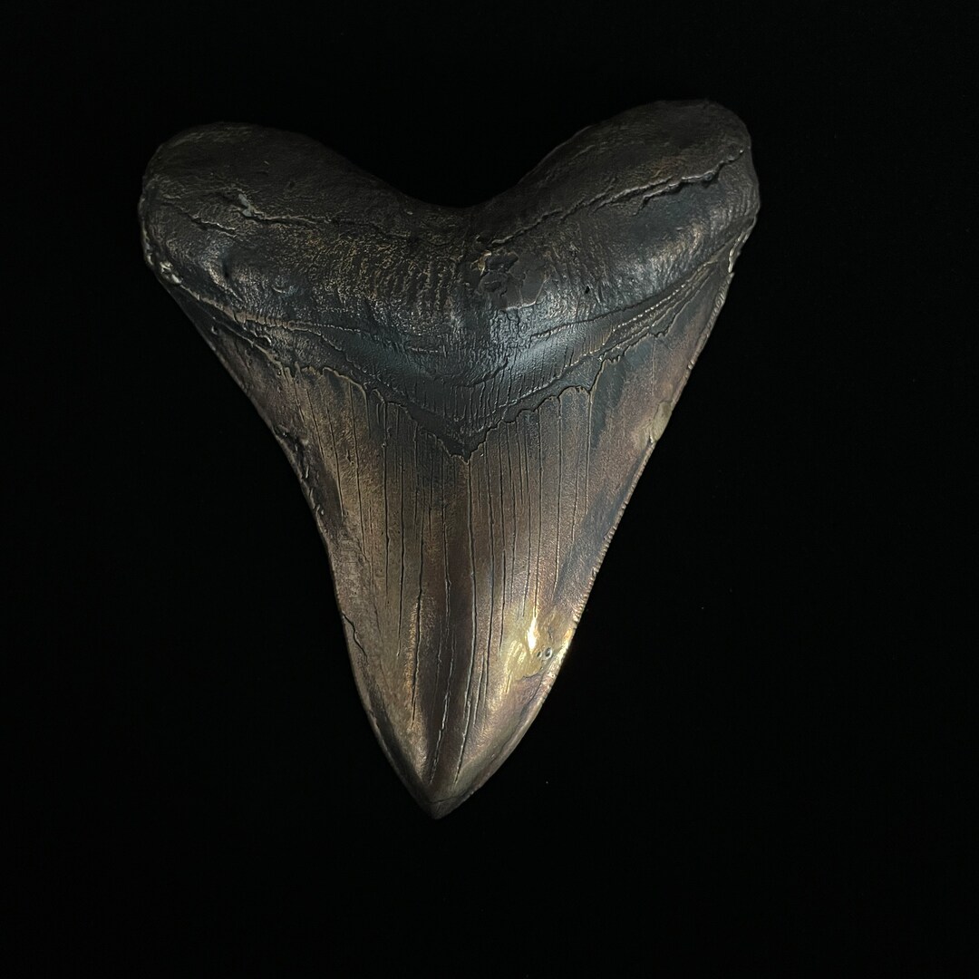 Solid Bronze Megalodon Tooth Replica Handmade One of a Kind - Etsy