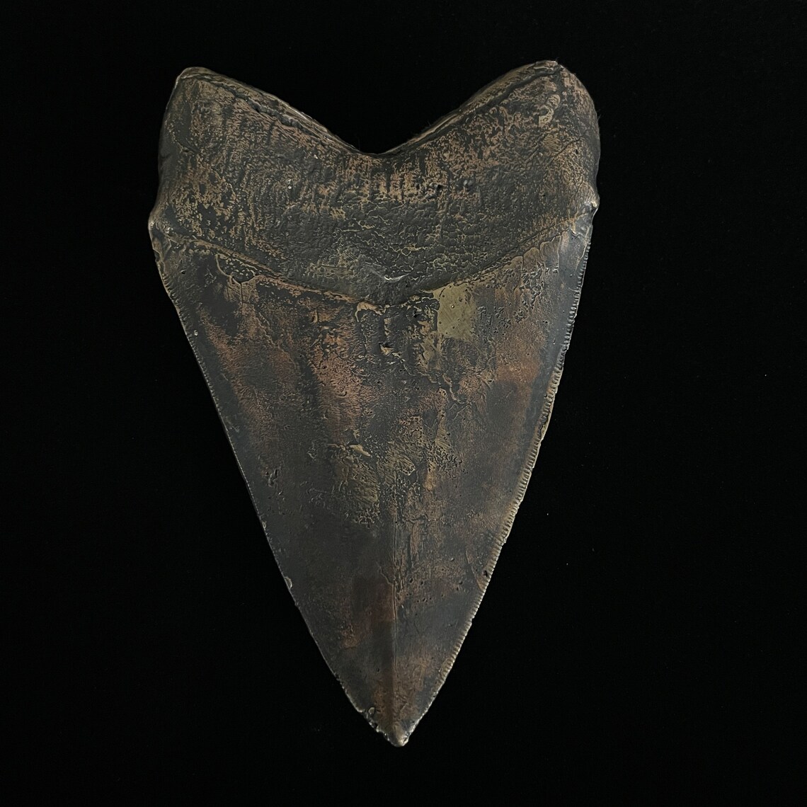 Solid Bronze Megalodon Tooth Replica - Handmade - One of a Kind - Etsy