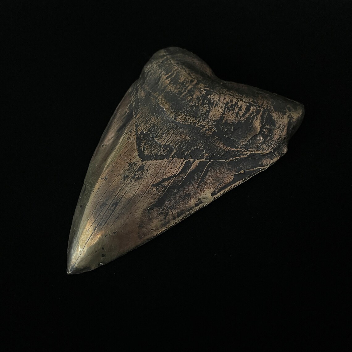 Solid Bronze Megalodon Tooth Replica - Handmade - One of a Kind - Etsy