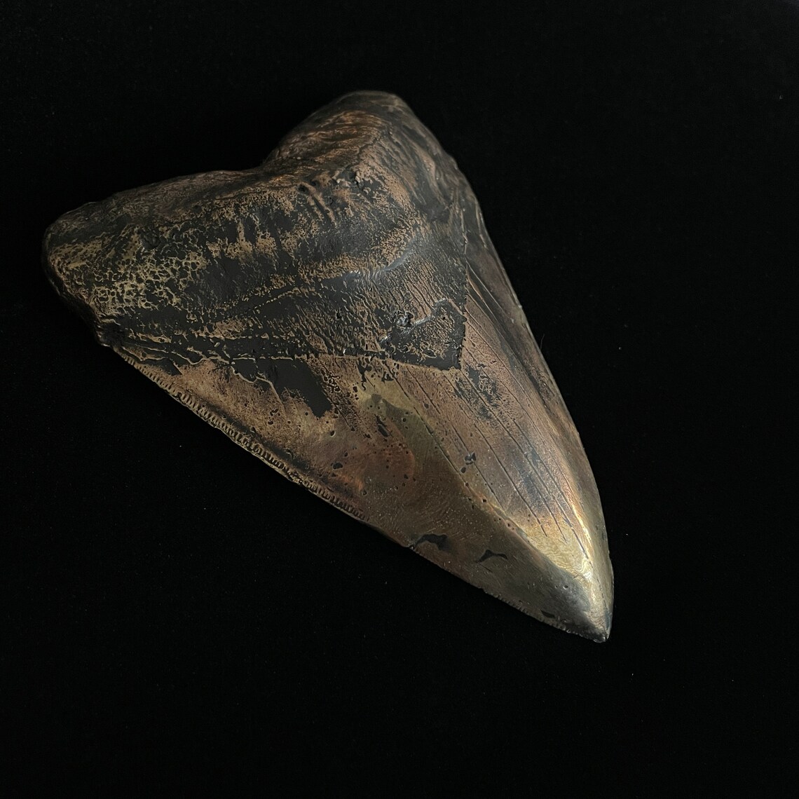 Solid Bronze Megalodon Tooth Replica - Handmade - One of a Kind - Etsy