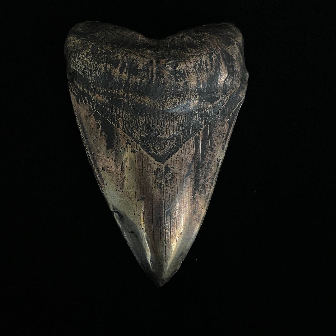 Solid Bronze Megalodon Tooth Replica - Handmade - One of a Kind - Etsy