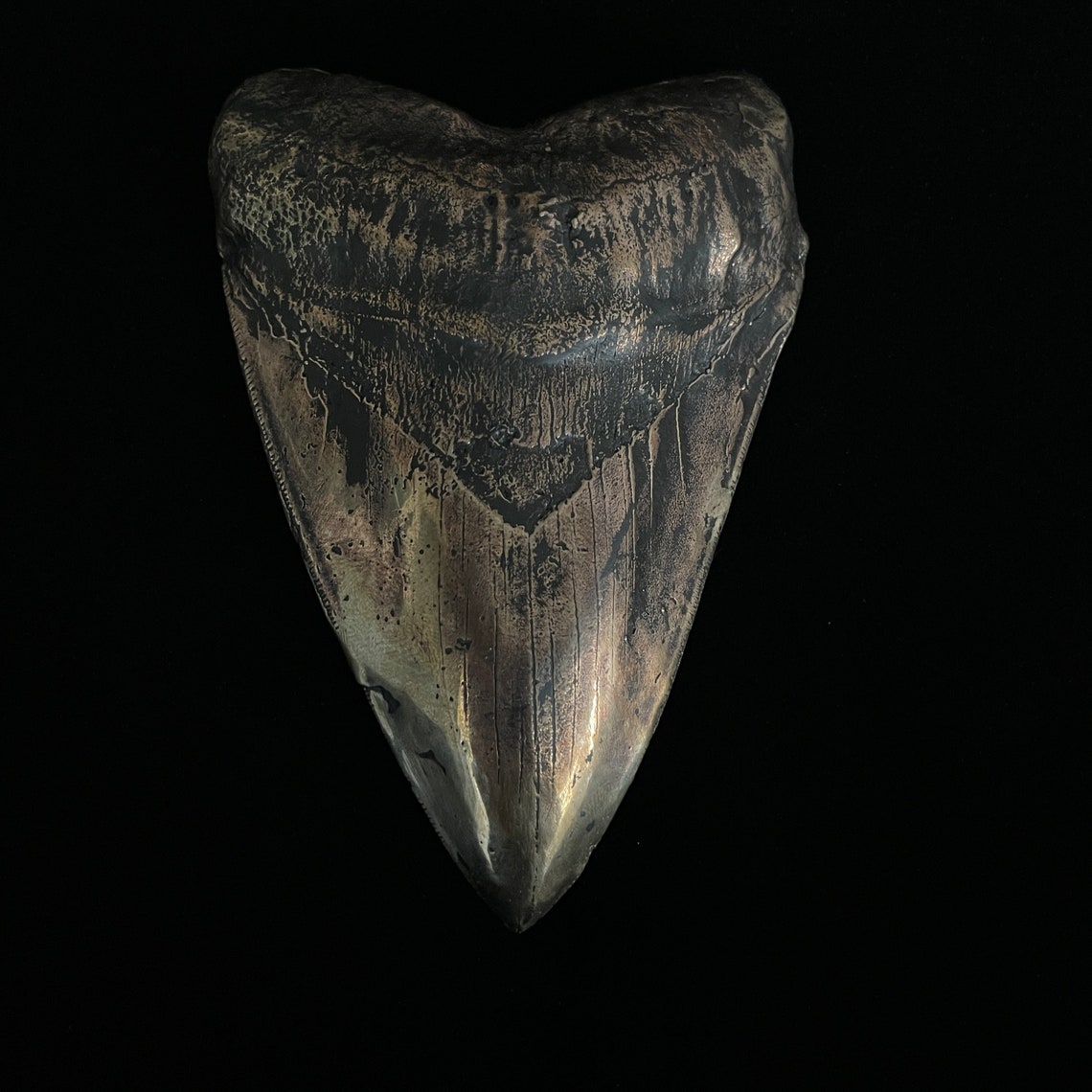 Solid Bronze Megalodon Tooth Replica - Handmade - One of a Kind - Etsy