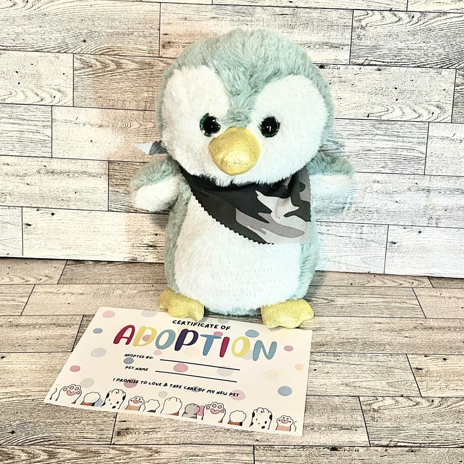 Adopt a Stuffy, Adopt a Stuffed Animal, Mystery Gift, Adopt a Pet ...