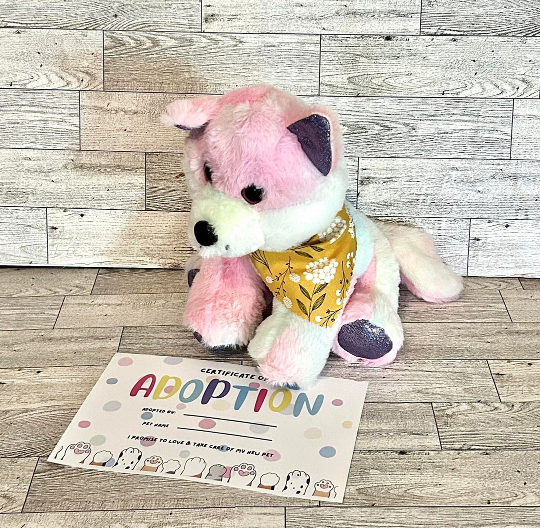 Adopt a Stuffy, Adopt a Stuffed Animal, Mystery Gift, Adopt a Pet ...