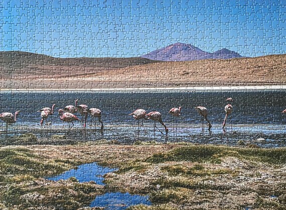 Beautiful Puzzle for Adults. 1000 Piece Jigsaw Puzzle. Unique | Etsy