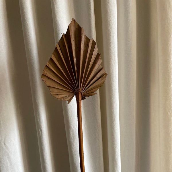Dried Palm Spears - Etsy