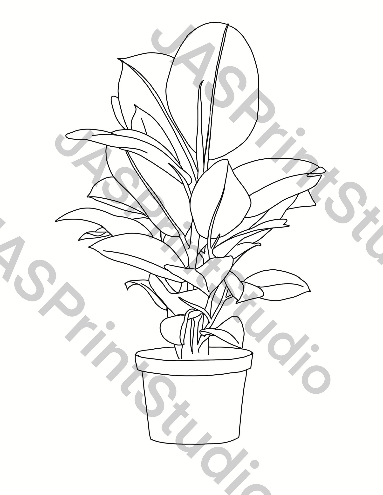 Houseplants Printable Coloring, Rubber Tree - Etsy UK