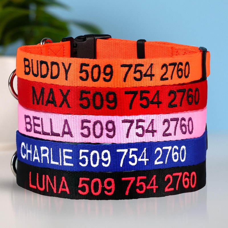 Dog Custom Name Collars - Etsy