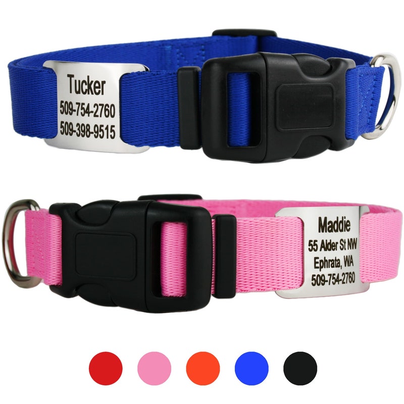 Dog Collar Tags - Etsy