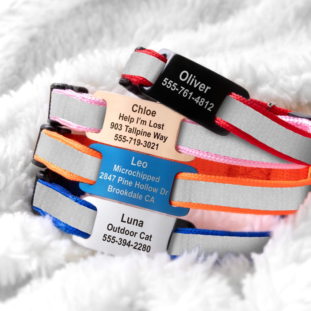 Gotags Personalized Reflective Cat Collar and Colorful Nameplate ...