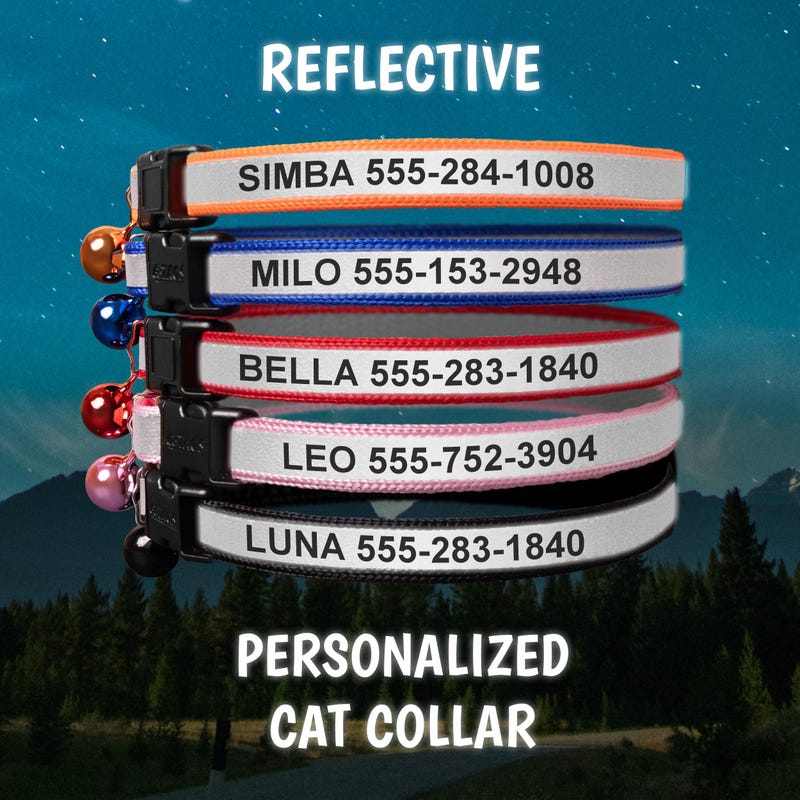 Reflective Collar Tag Cat - Etsy