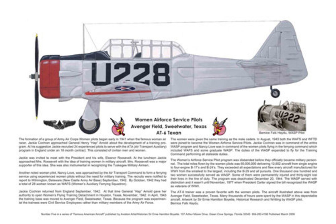 WASP Pilot Bee Haydu, AT-6 Pilot, Autographed Artwork by E. Boyette - Etsy