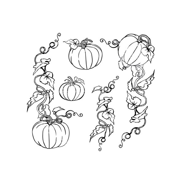 Pumpkin Vine - Etsy