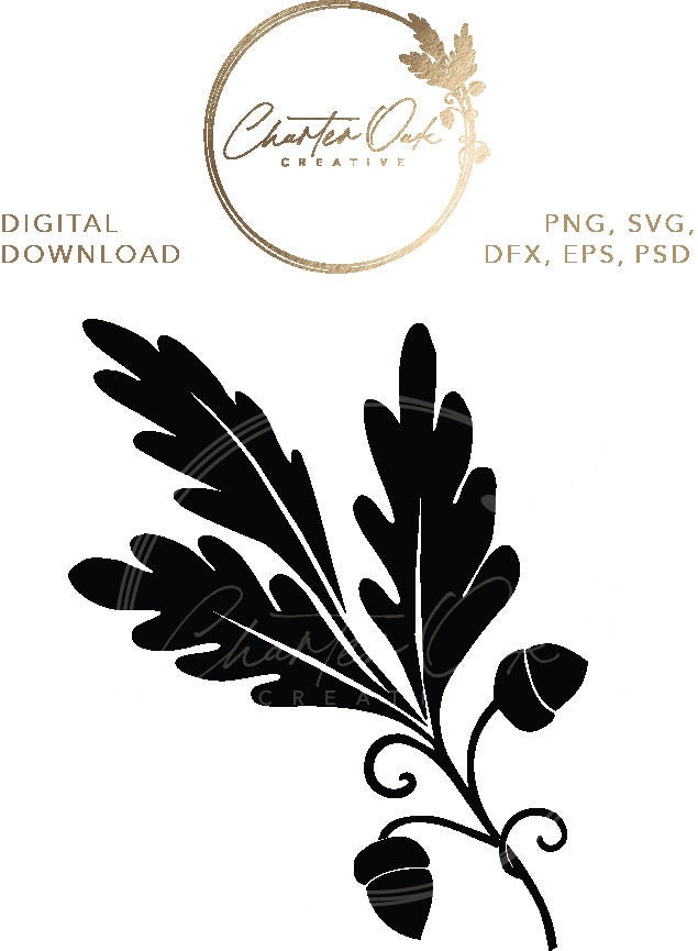 Oak Leaves and Acorns Stem SVG Digital File Download - Etsy