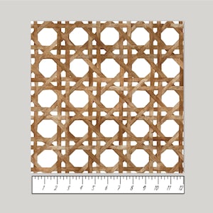 Hand-painted Mid-century Modern Rattan 12 Inch Seamless Pattern PNG ...