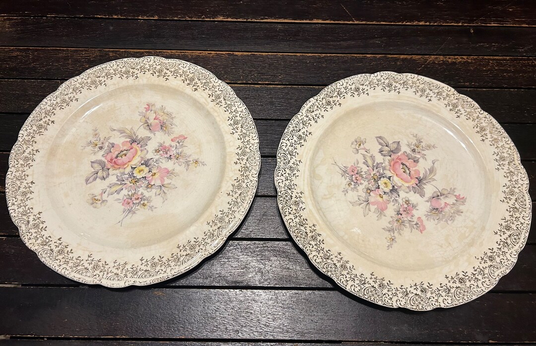 French Pink Floral Plates ~ Set of 2 - Etsy