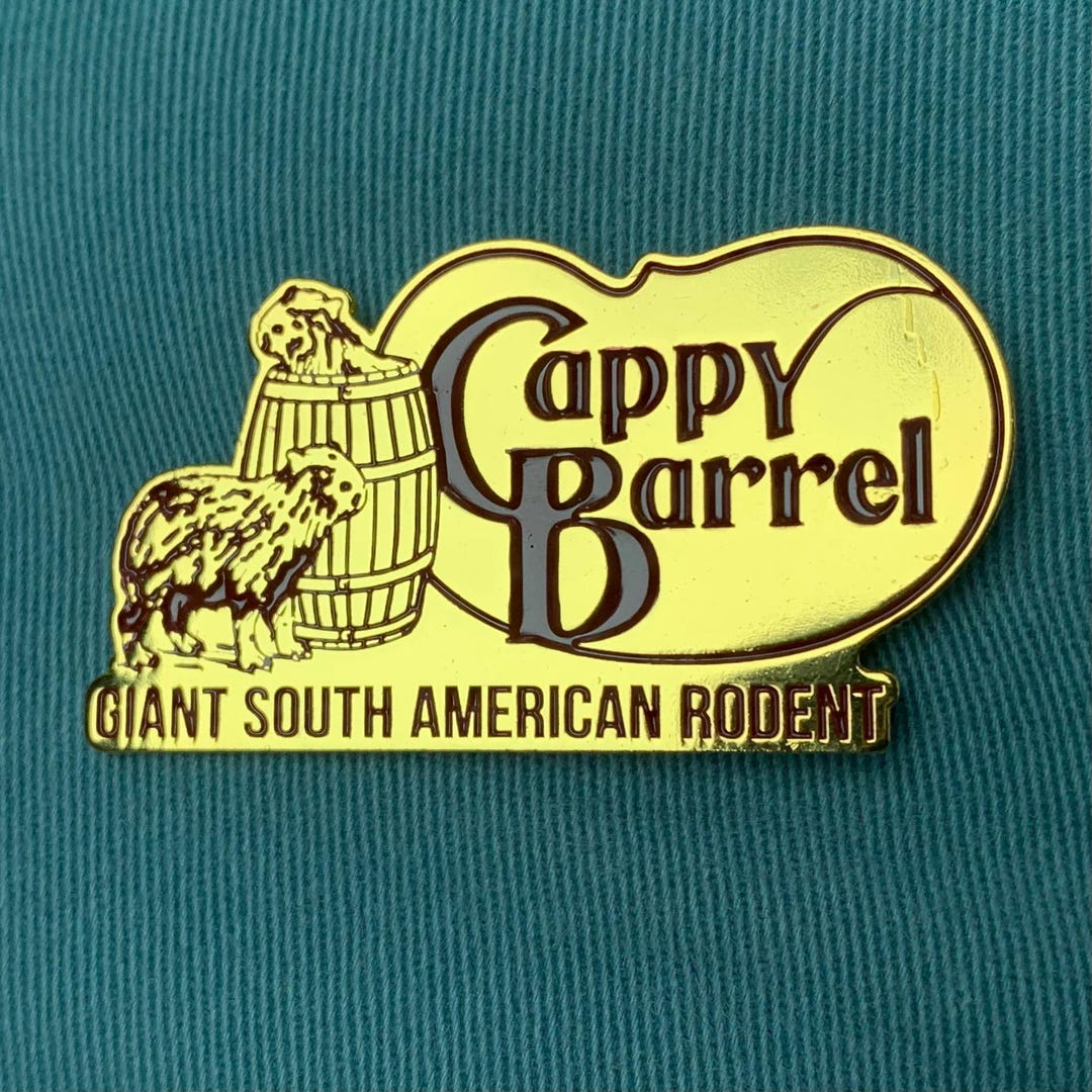 Capybara Cracker Barrel Logo Metal Pin - Etsy