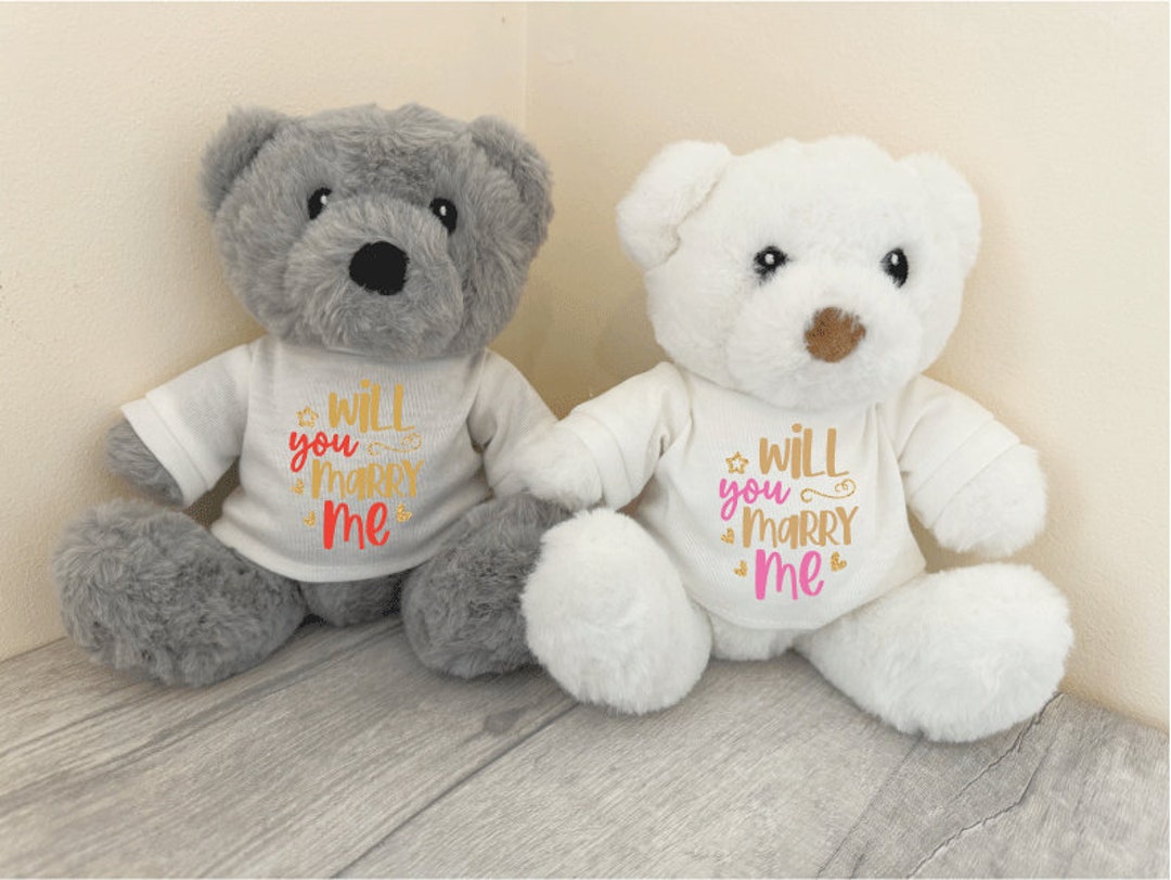 Will You Marry Me Teddy Bear: Engagement Proposal Gift, Proposal ...