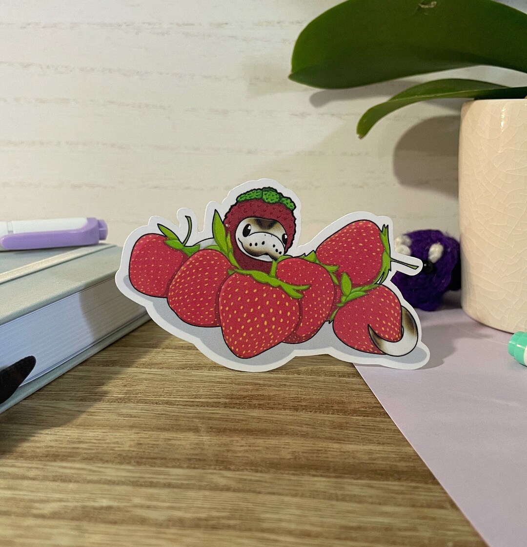 Lenny Strawberry Snake Sticker | Costume | Reptile | Ball Python ...