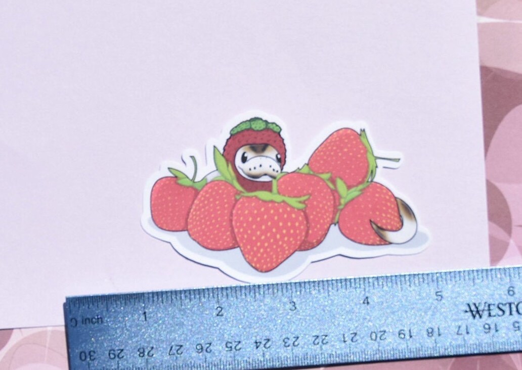 Lenny Strawberry Snake Sticker Costume Reptile Ball Python Water ...