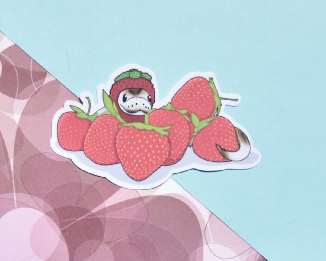 Lenny Strawberry Snake Sticker Costume Reptile Ball Python Water ...