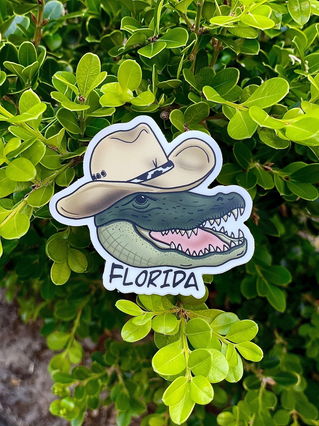 Cowboy Alligator - Etsy