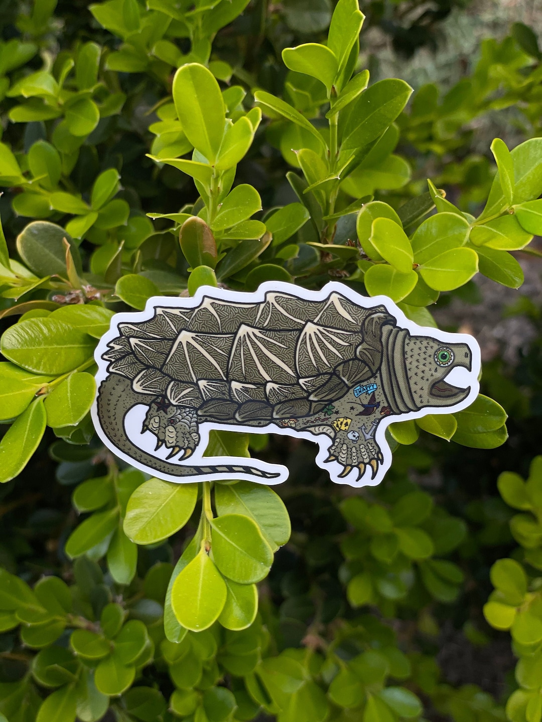 Snapping Tattoo Turtle - Etsy