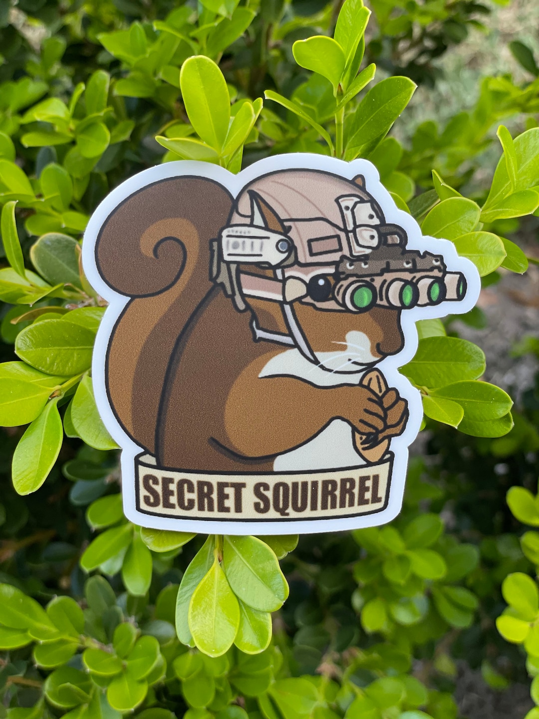 Secret Squirrel Sticker: Waterproof Matte Vinyl Decal - Etsy