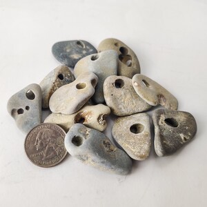 Set of 12 Amulet Hag Stones, 1 1/4'' - 1 1/2'' ' Genuine Holey Beach ...