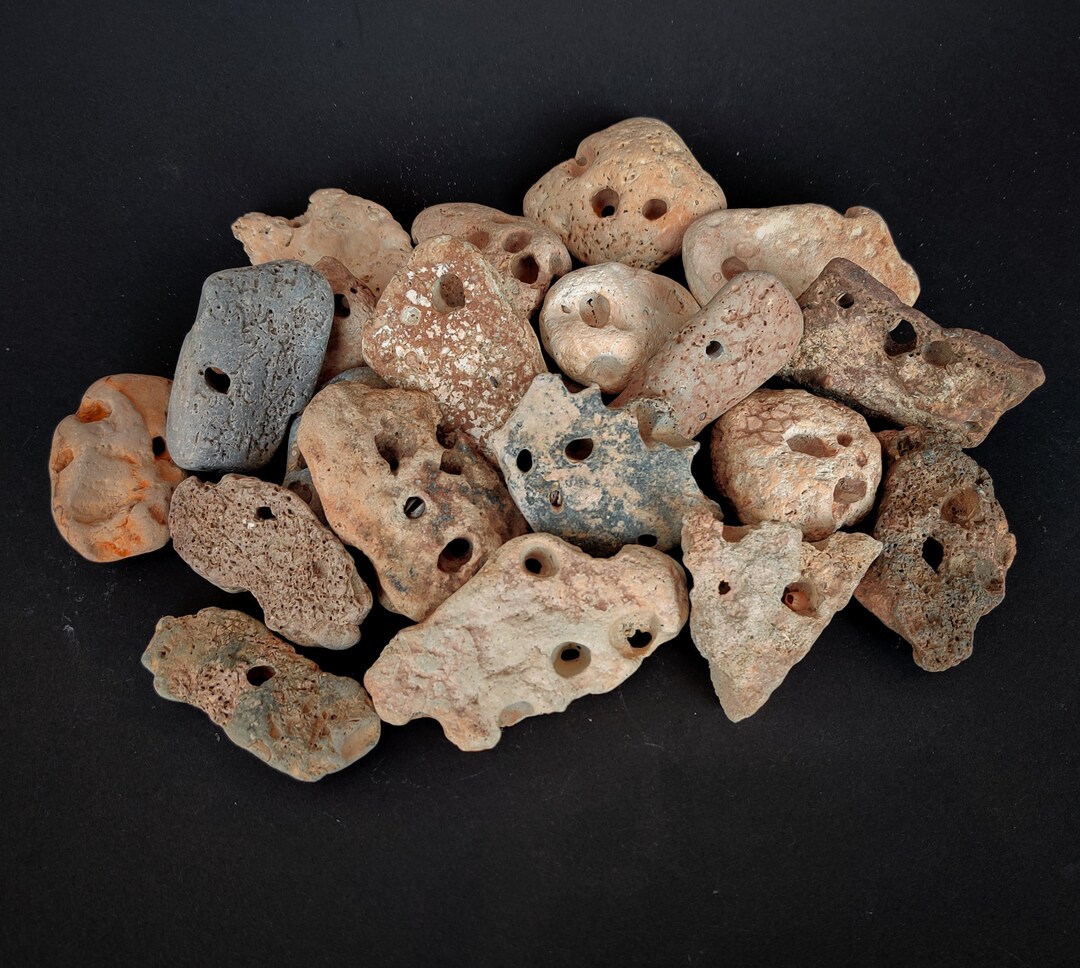 Large Hag Stones Bulk Lot 4-10, 2''- 3 1/2'' Genuine Holey Beach Rocks ...