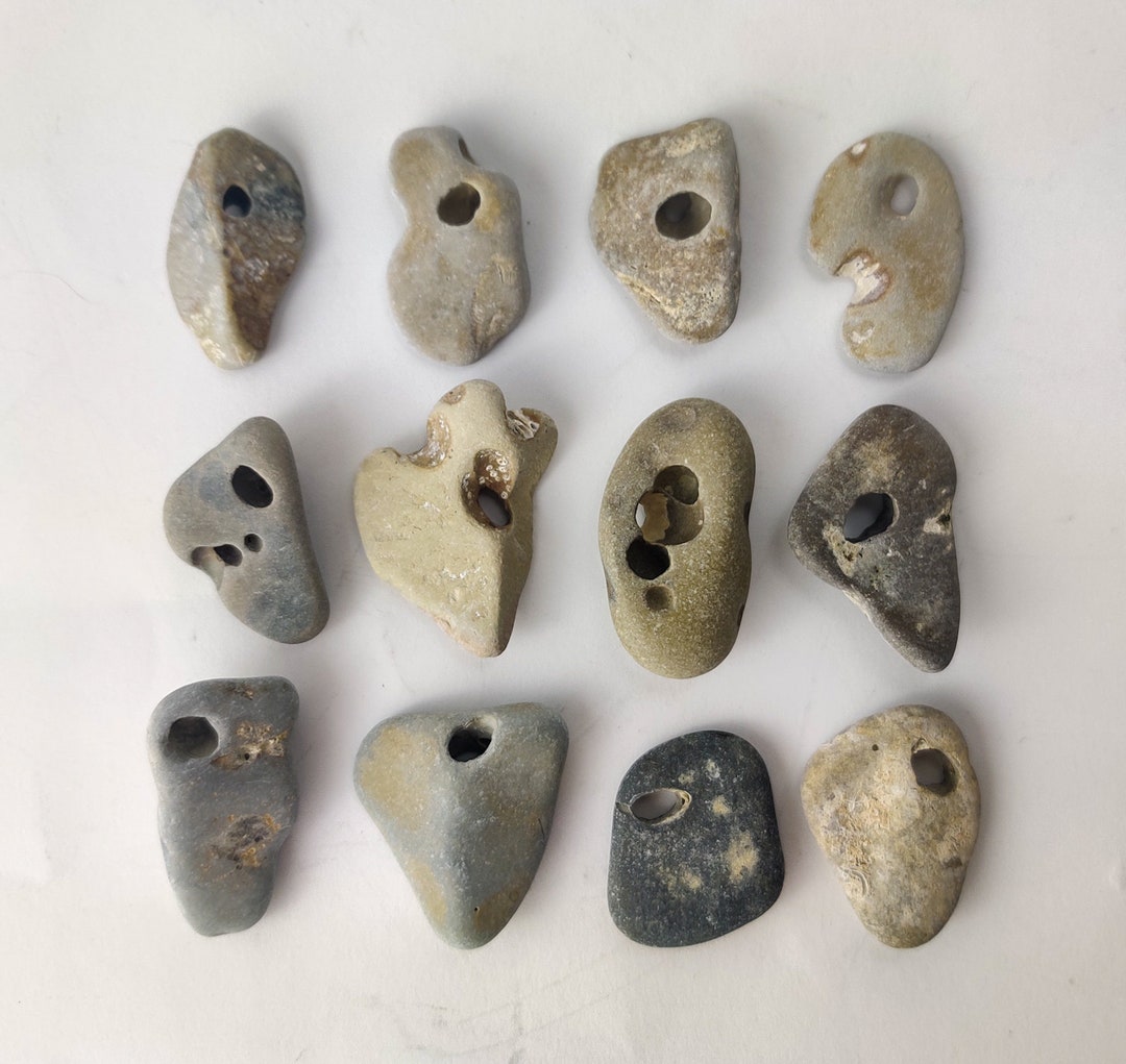 Set of 12 Amulet Hag Stones, 1 1/4'' - 1 1/2'' ' Genuine Holey Beach ...