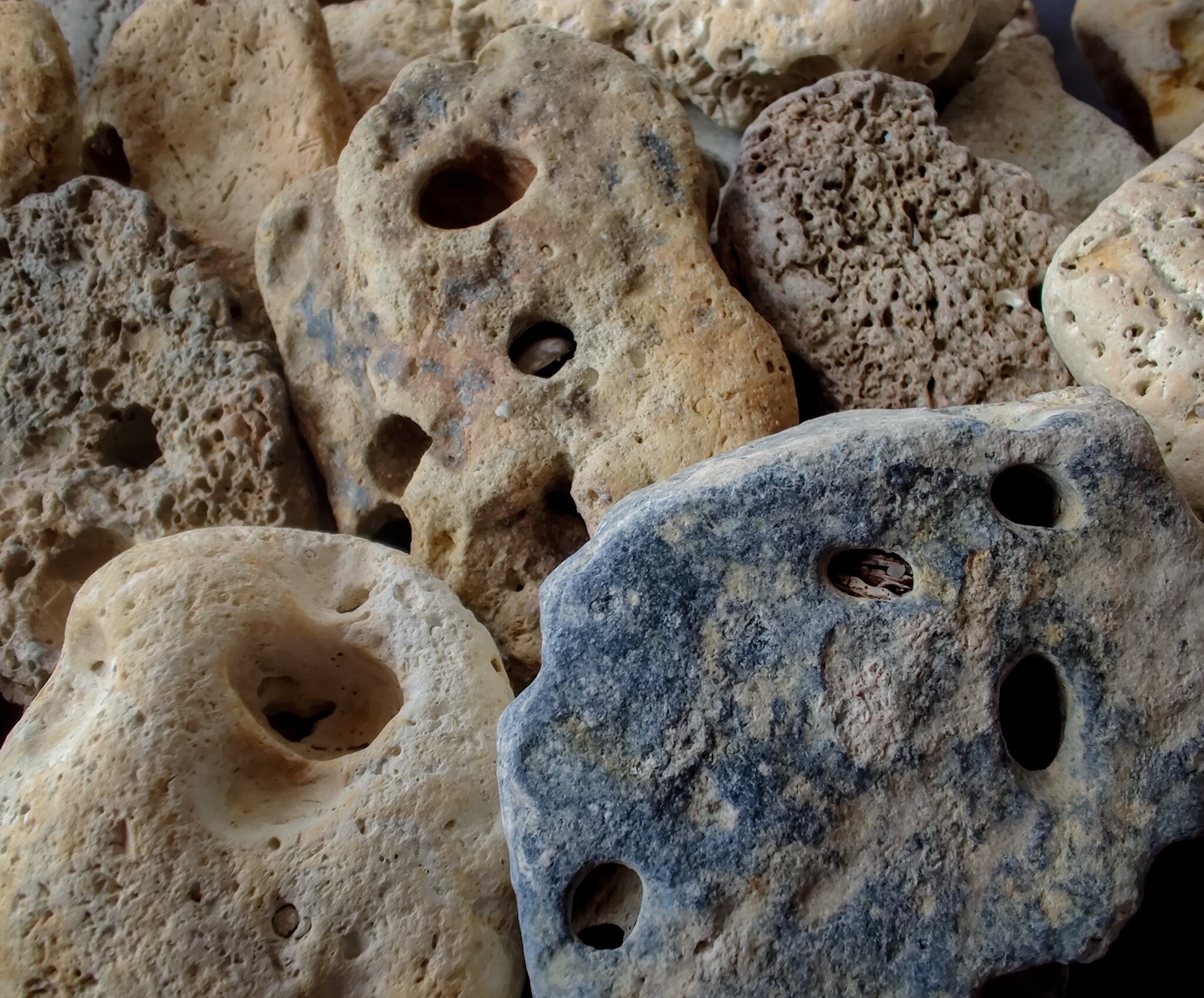 Large Hag Stones Bulk Lot 4-10 2'' 3 1/2'' - Etsy