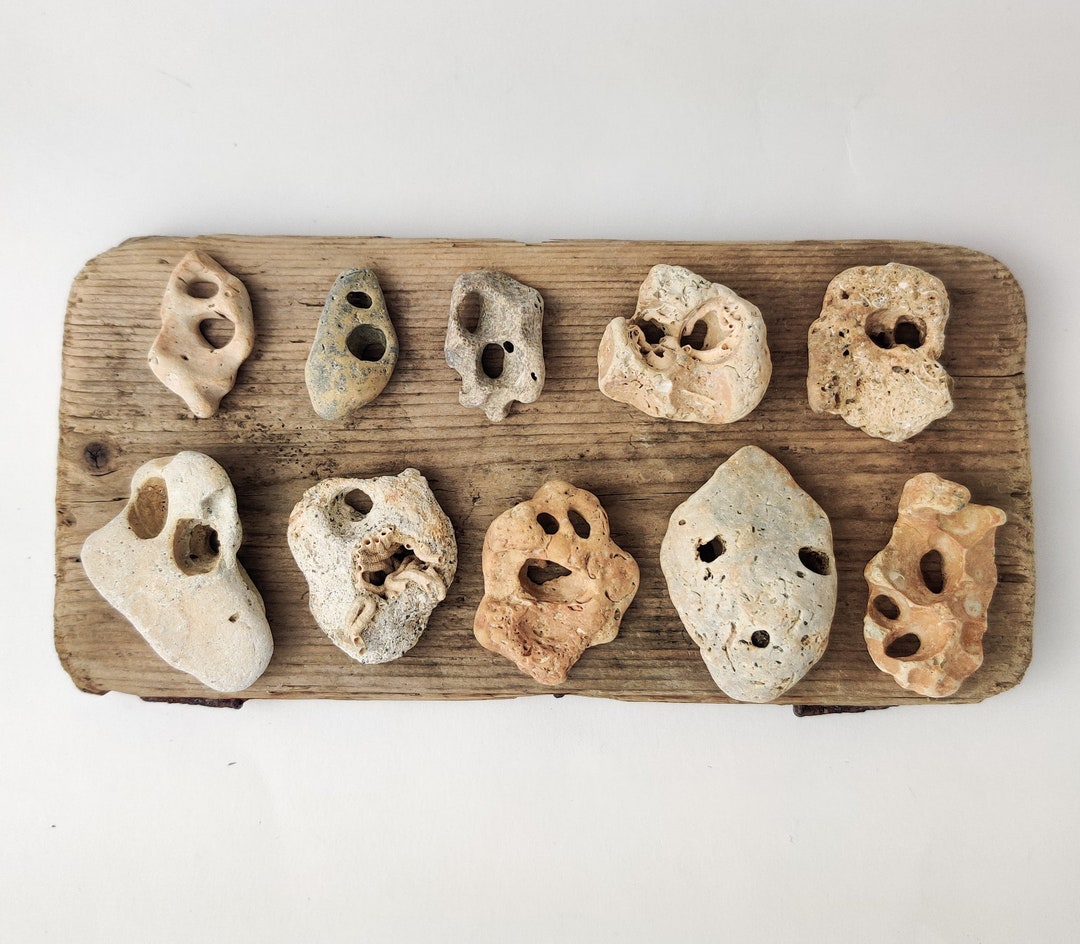 Set of 10 Unique Multiple Holey Beach Rocks, 1'' 1 1/2'' Genuine Hag ...
