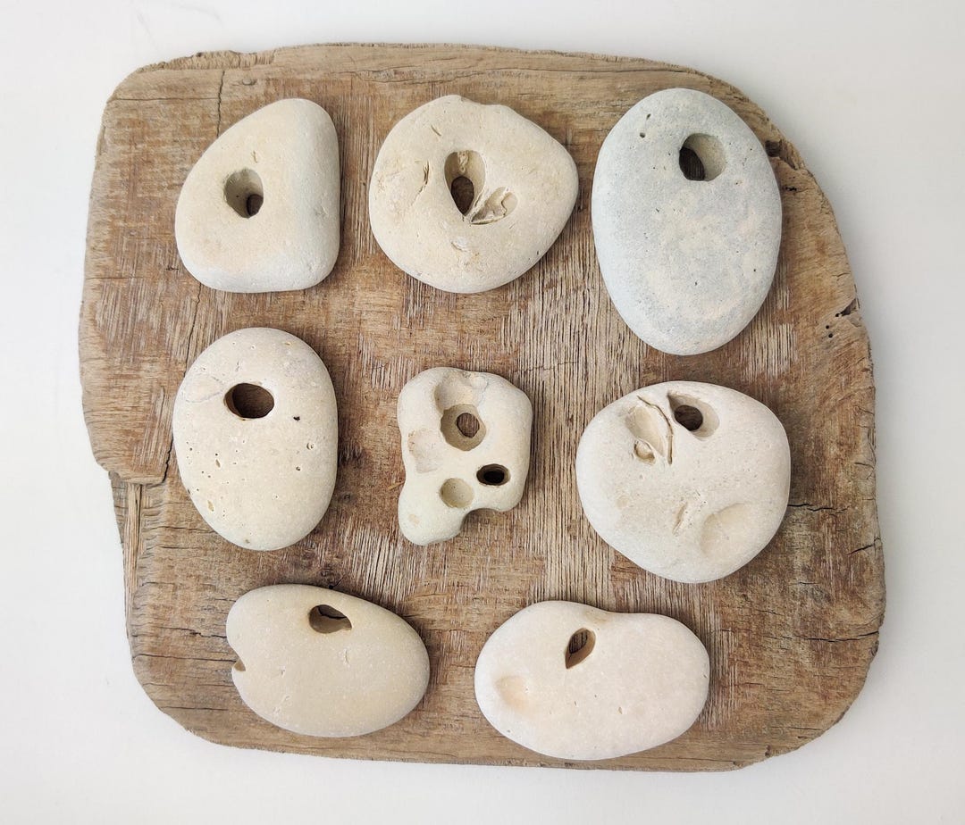 Set of 8 Smooth Amulet Hag Stones, 1 1/3'' - 2'' Genuine Holey Beach ...