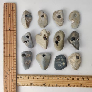Set of 12 Amulet Hag Stones, 1 1/4'' - 1 1/2'' ' Genuine Holey Beach ...