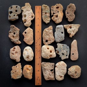 Large Hag Stones Bulk Lot 4-10, 2''- 3 1/2'' Genuine Holey Beach Rocks ...