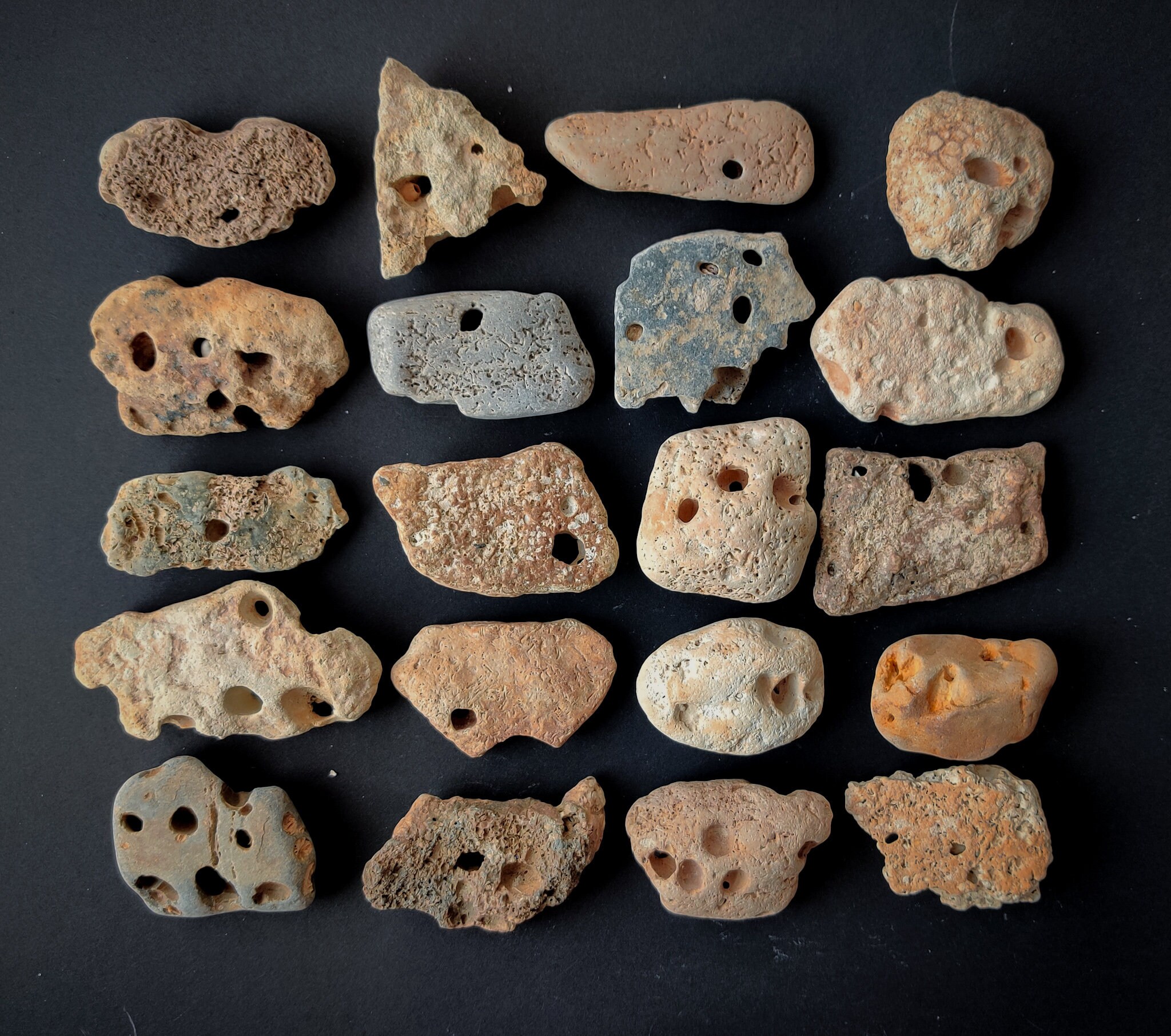 Large Hag Stones Bulk Lot 4-10 2'' 3 1/2'' - Etsy