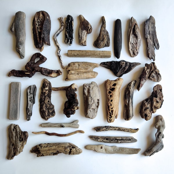 Driftwood Pieces - Etsy